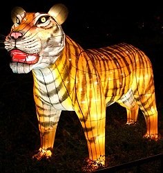 Teng Chieh - The Lantern Festival - Facts of the Day Calendar